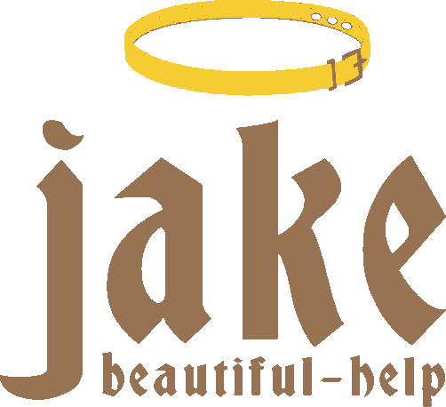 Jake-Engel – Zu Gunsten der Jake Tierhilfe